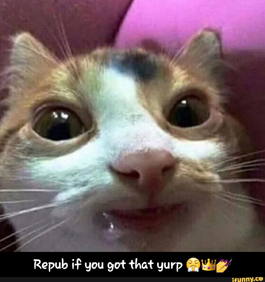 Yurp memes. Best Collection of funny Yurp pictures on iFunny
