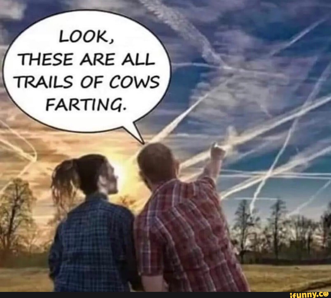 LOOK, THESE ARE ALL TRAILS OF COWS FARTING. - iFunny