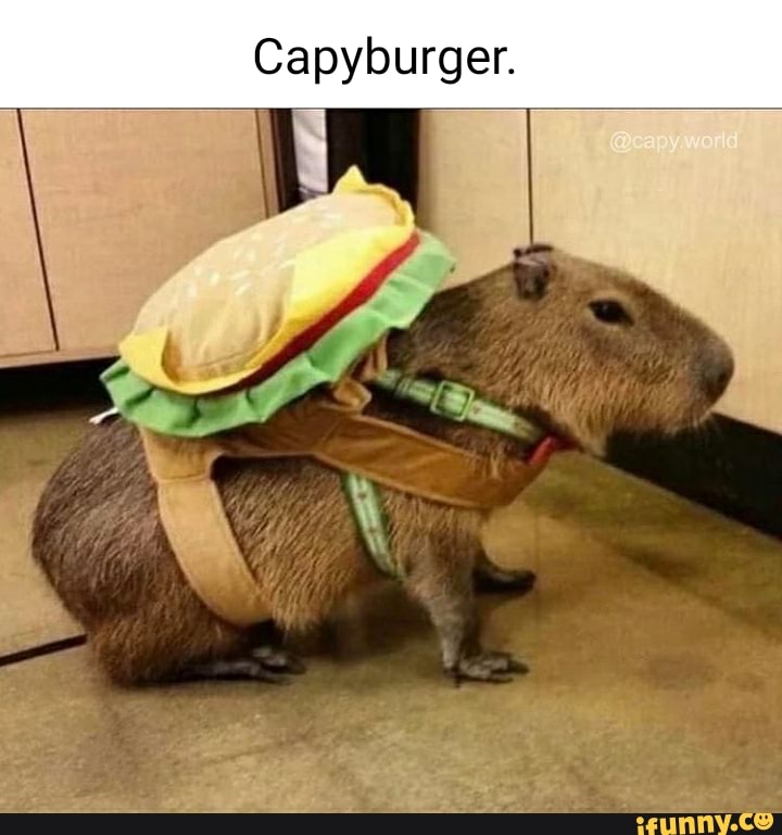 Capyburger memes. Best Collection of funny Capyburger pictures on iFunny