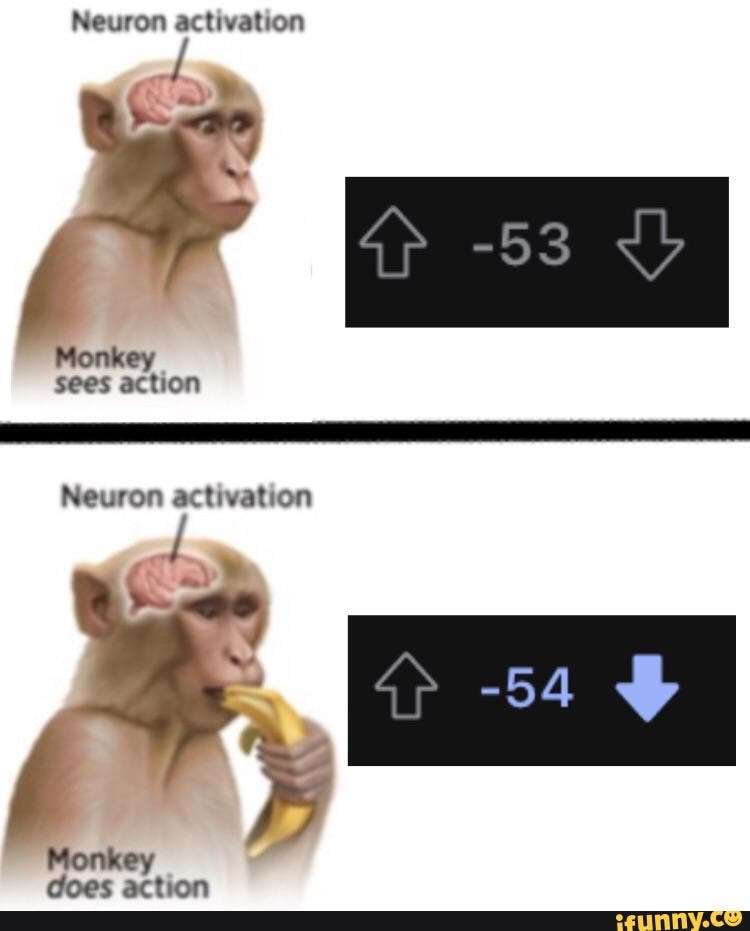 Neuron activation Monkey sees action Neuron activation Monkey AaAse ...