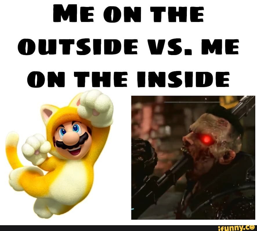 ME ON THE OUTSIDE VS. ME ON THE INSIDE - iFunny