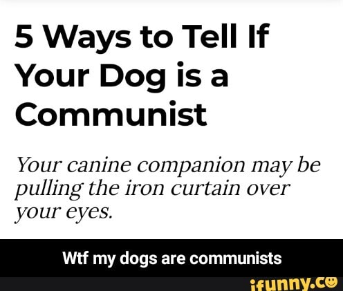 5 Ways to Tell If Your Dog is a Communist Your canine companion may be ...