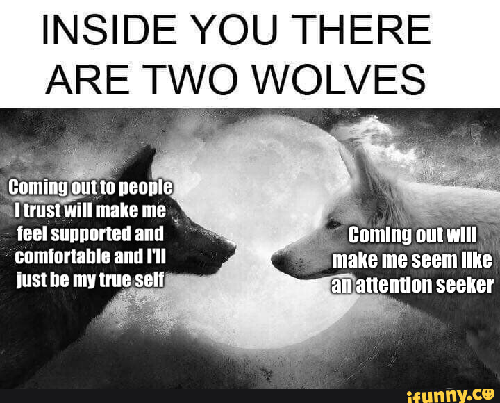 Owi memes. Best Collection of funny Owi pictures on iFunny
