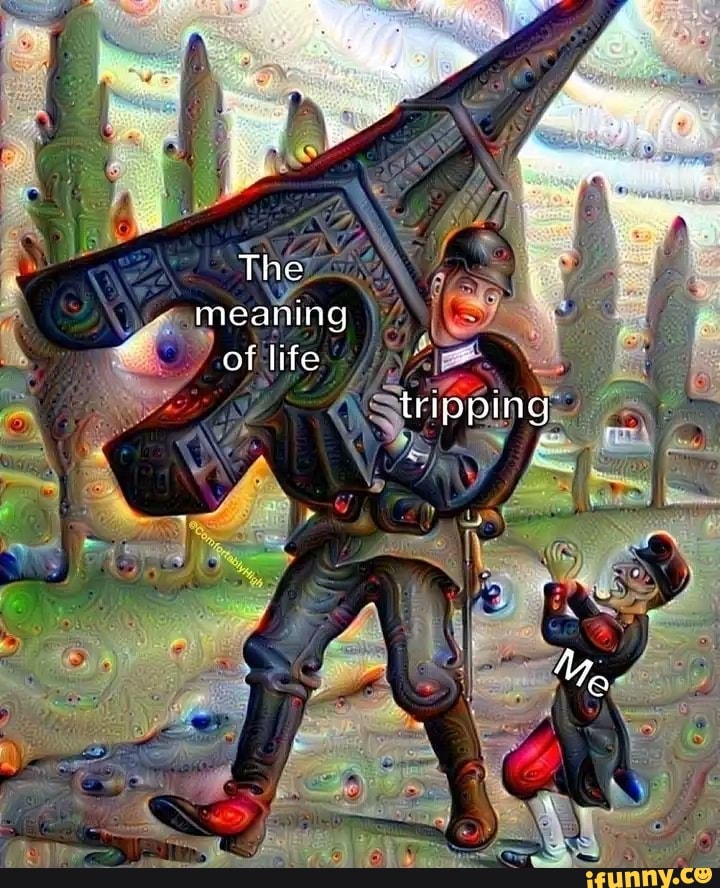 The meaning of life tripping - iFunny