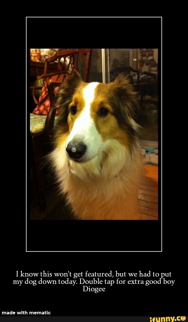 Diogee memes. Best Collection of funny Diogee pictures on iFunny