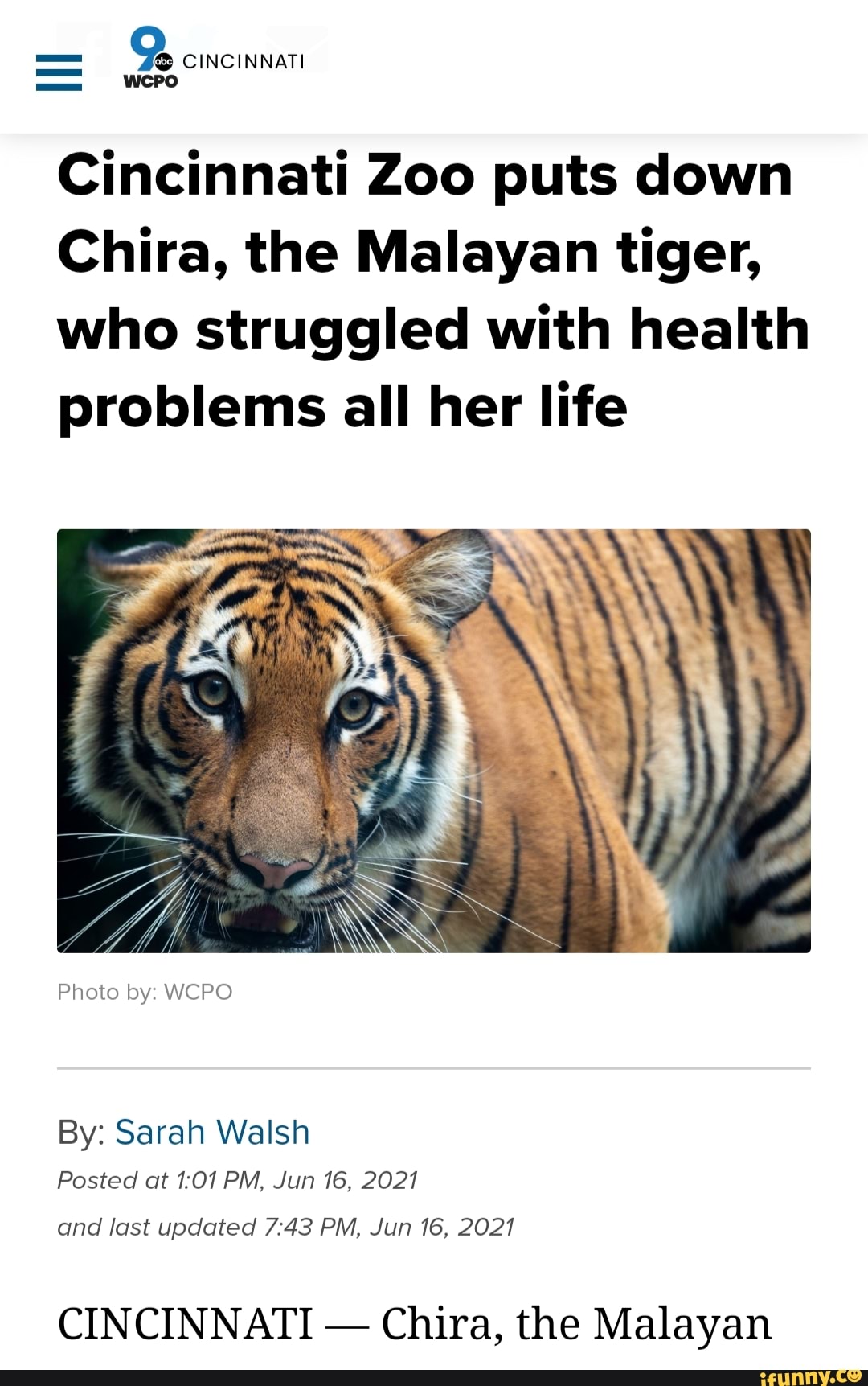 - CINCINNATI Cincinnati Zoo puts down Chira, the Malayan tiger, who ...