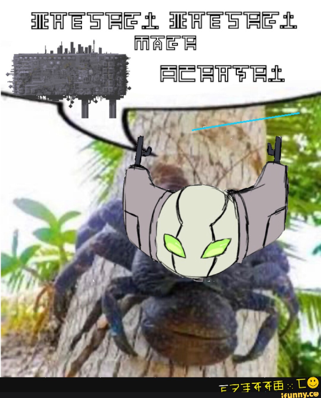 Saree memes. Best Collection of funny Saree pictures on iFunny