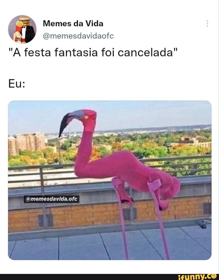 N/A - Memes da Vida À Gmemesdavidaofe "A festa fantasia foi cancelada ...
