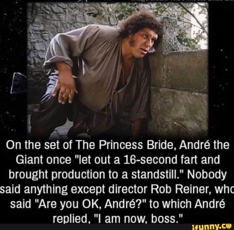 Andre memes. Best Collection of funny Andre pictures on iFunny