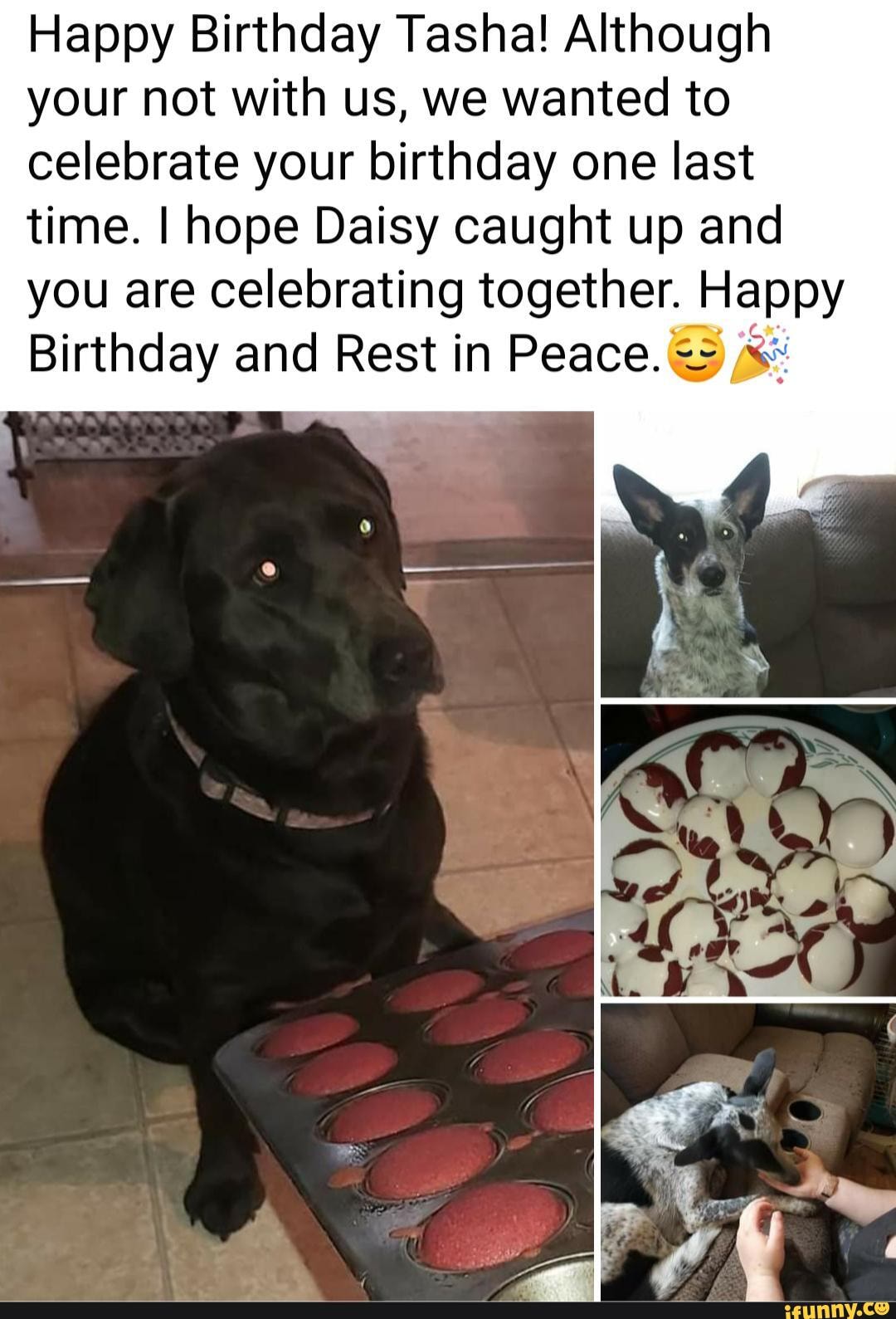 Tasha Birthday Memes