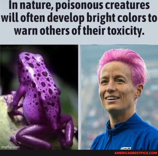 In nature, poisonous creatures will often develop bright colors to warn ...