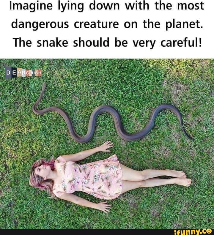 Imagine lying down with the most dangerous creature on the planet. The ...