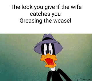 Weasel memes. Best Collection of funny Weasel pictures on iFunny