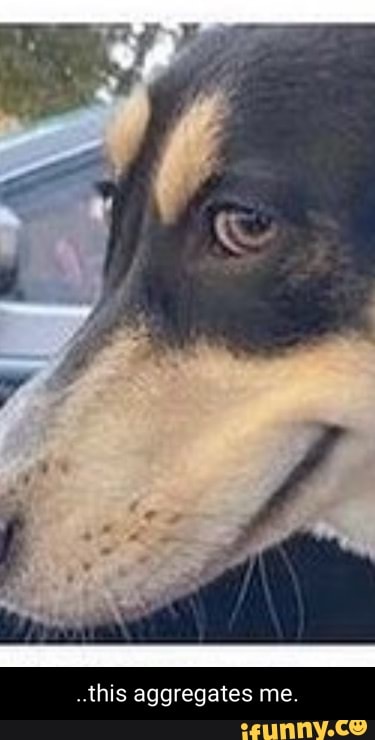 Aggregates memes. Best Collection of funny Aggregates pictures on iFunny