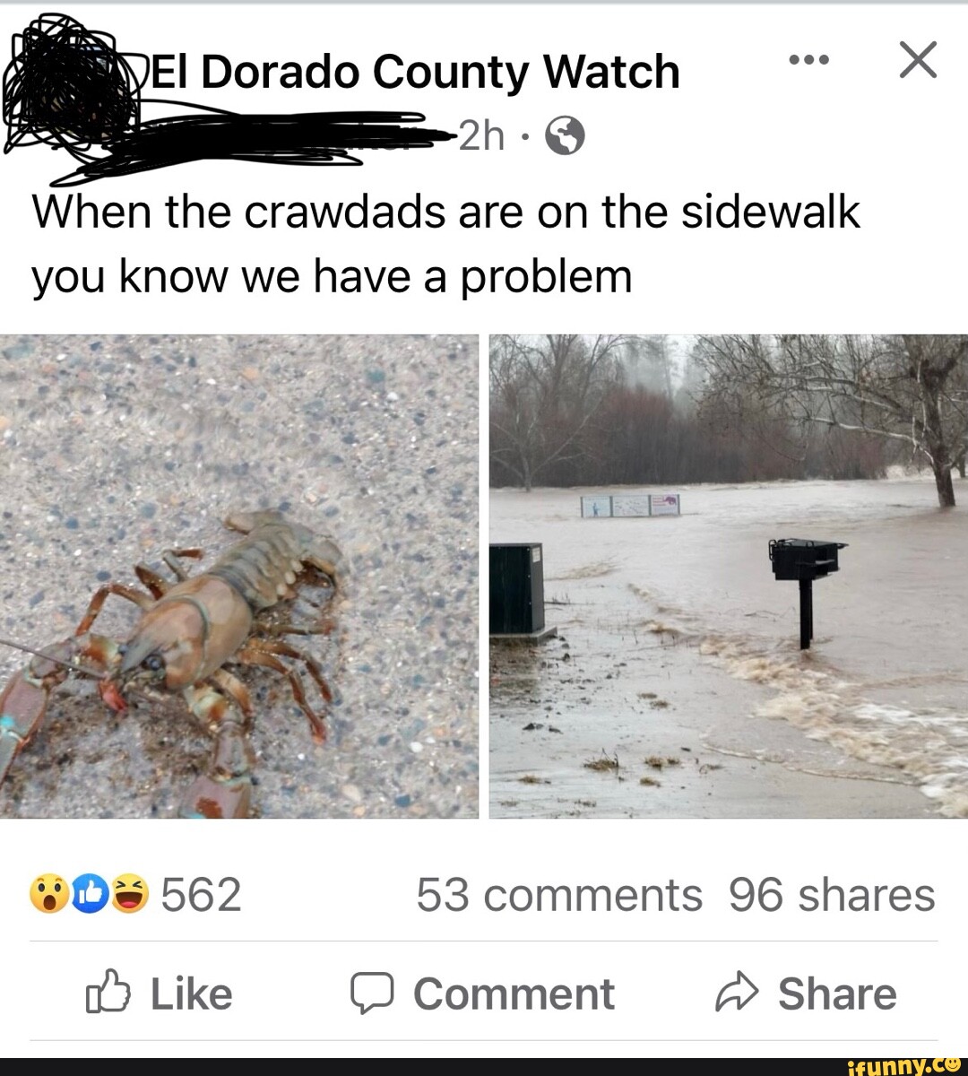 Crawdads memes. Best Collection of funny Crawdads pictures on iFunny