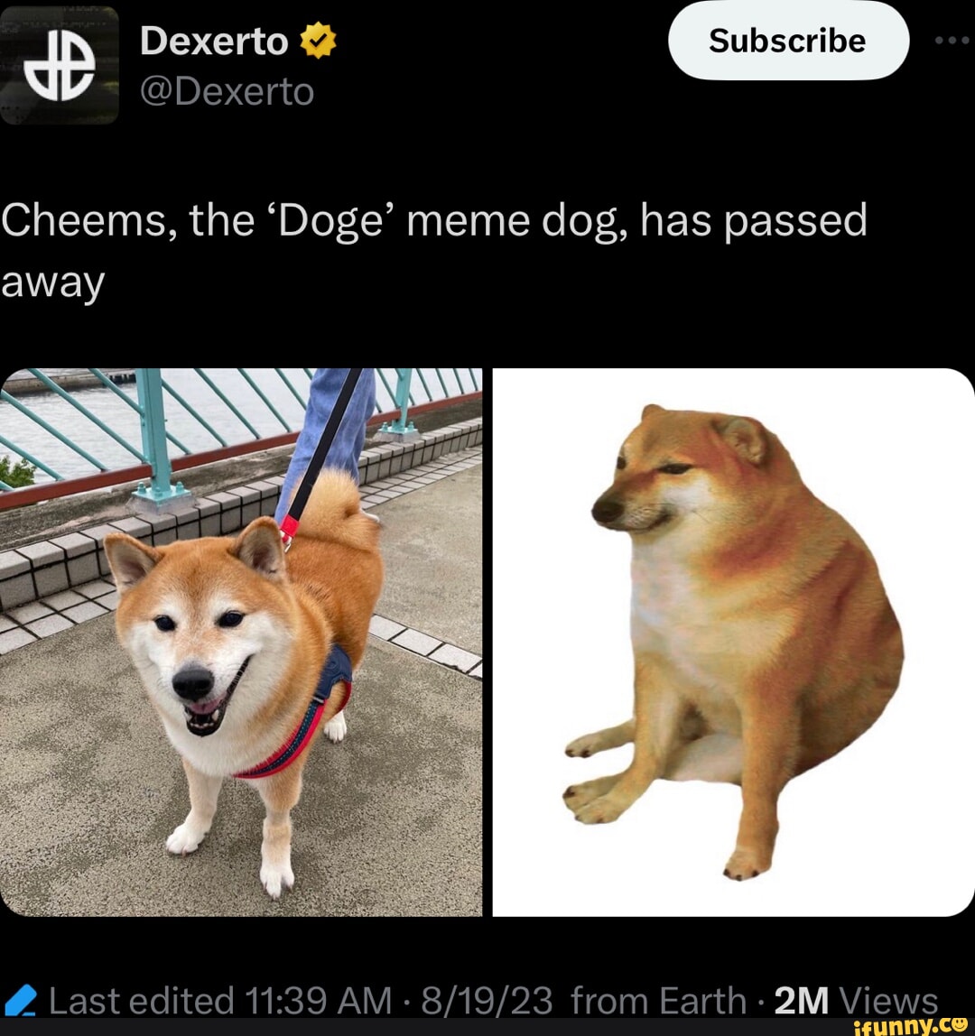 Dexerto Subseribe Cheems, the 'Doge' meme dog, has passed away Last ...