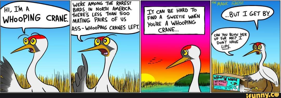 Whooping memes. Best Collection of funny Whooping pictures on iFunny