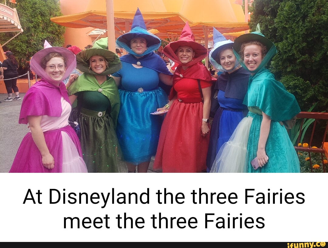 Sleeping Beauty Fairies Meme