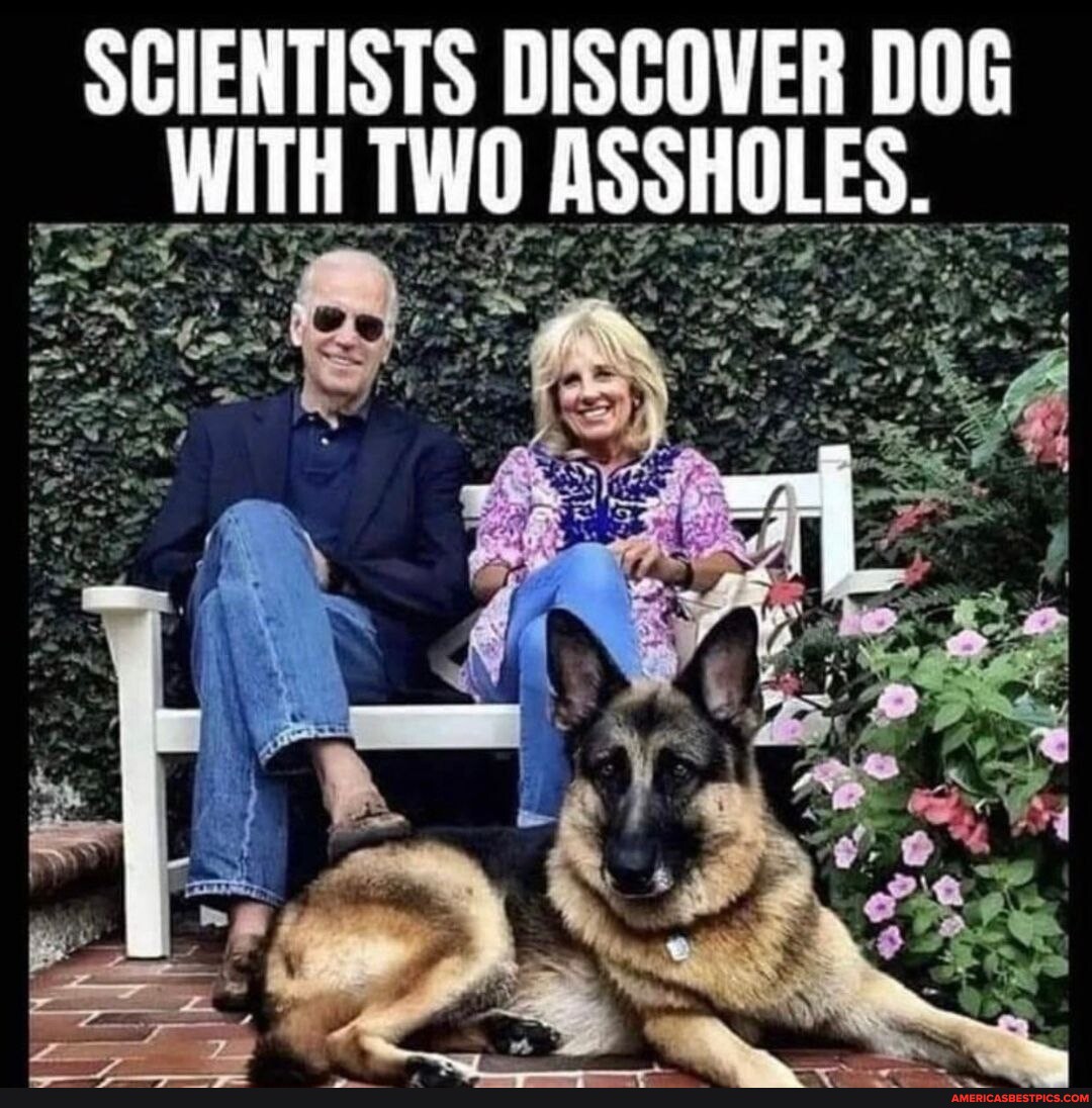SCIENTISTS DISCOVER DOG WITH TWO ASSHOLES - America’s best pics and videos