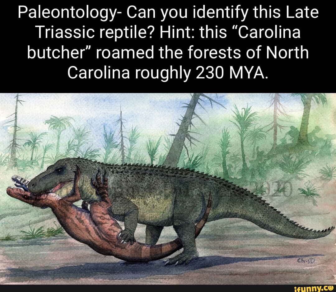 Paleontology- Can you identify this Late Triassic reptile? Hint: this ...