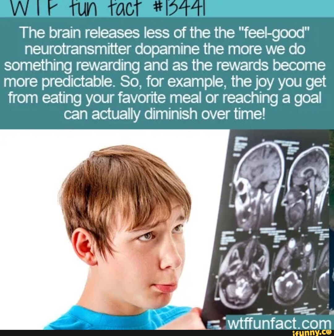 Neurotransmitter memes. Best Collection of funny Neurotransmitter ...