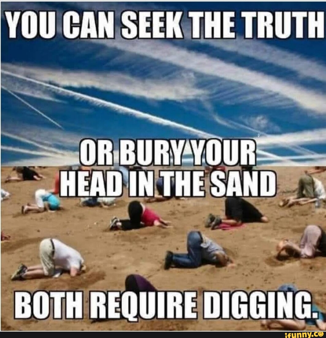 YOU CAN SEER THE TRUTH OR BURY YOUR HEAD IN THE SAND BOTH REQUIRE DIGGING. - iFunny