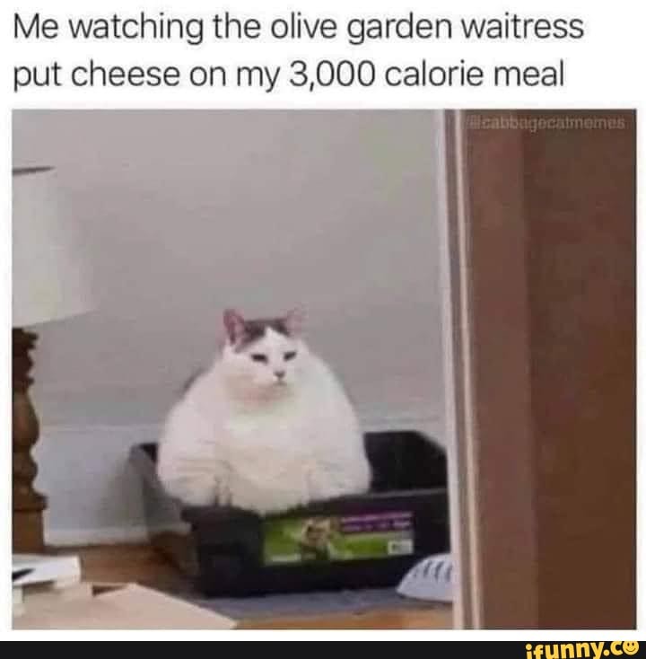 Calory memes. Best Collection of funny Calory pictures on iFunny