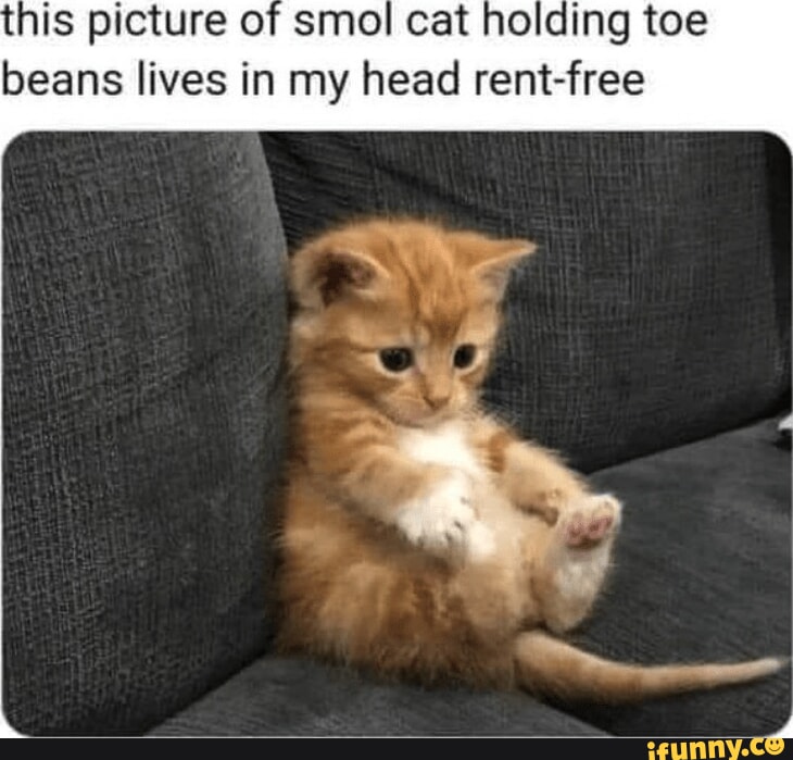 Smol memes. Best Collection of funny Smol pictures on iFunny