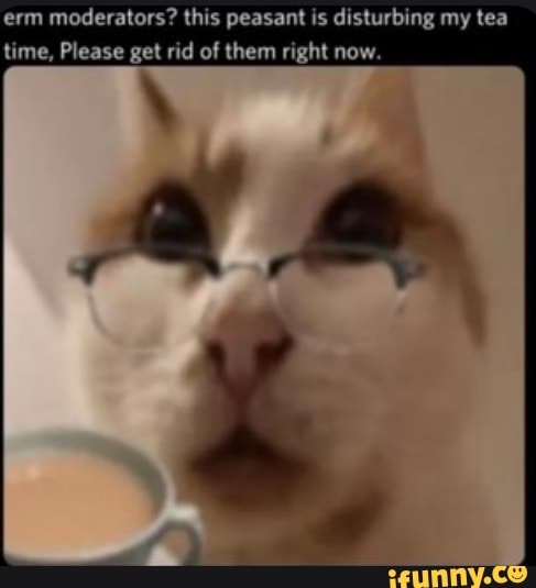 Erm moderators? this peasant is disturbing my tea time, Please get rid of them right now. - iFunny