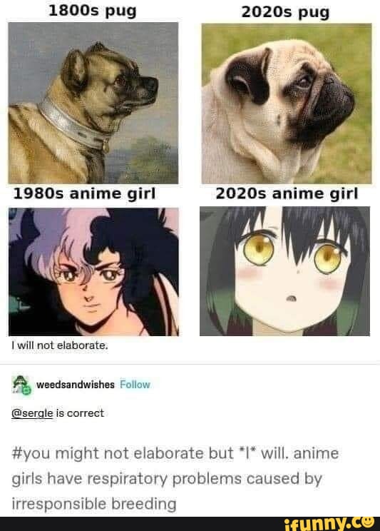 1800s pug 2020s pug 1980s anime girl 1 2020s anime girl will not ...