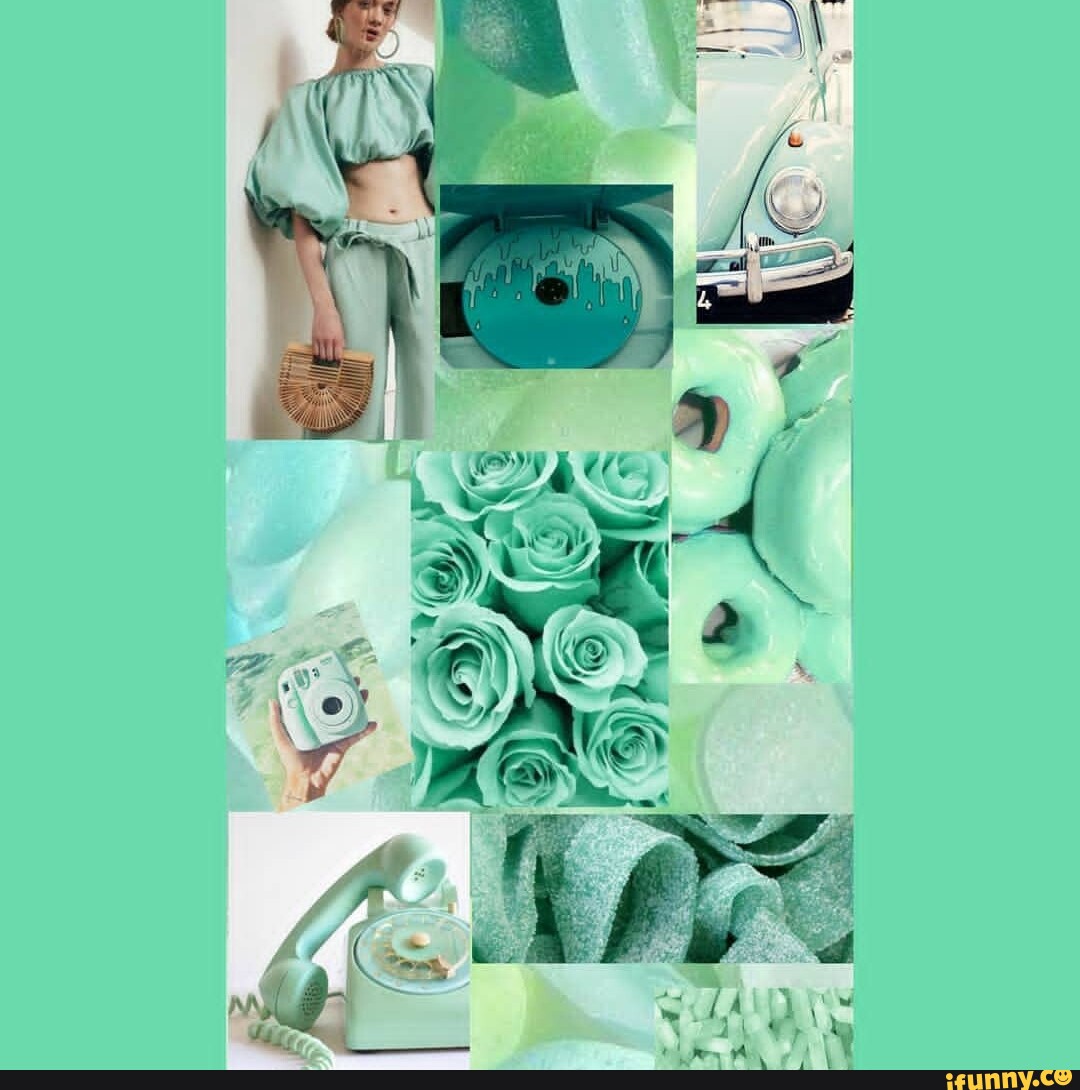 Mintaesthetic memes. Best Collection of funny Mintaesthetic pictures on ...