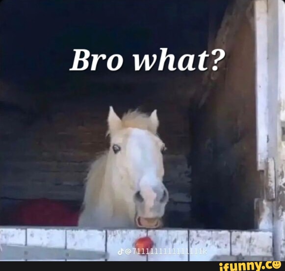 Picture memes bcO6ABAzA by hella_bread: 1 comment - iFunny