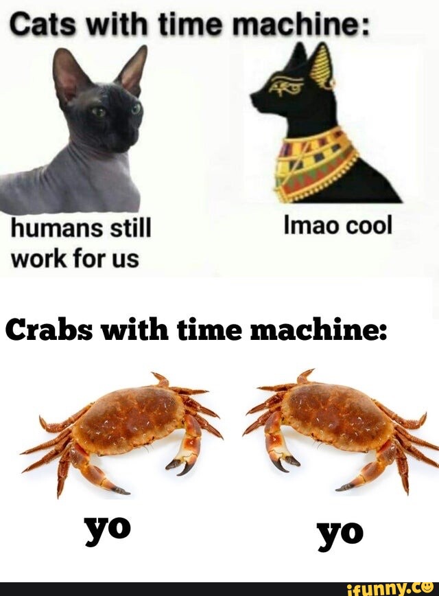 Time machine - Cats with time machine: humans still Imao cool work for ...