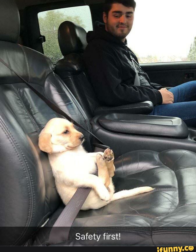 Safety first! - iFunny