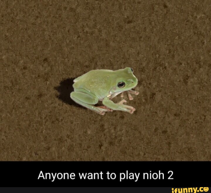Nioh2 memes. Best Collection of funny Nioh2 pictures on iFunny