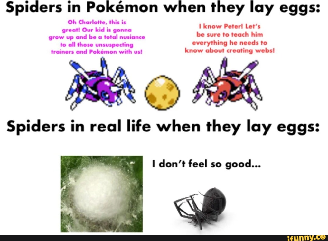 Spiders in Pokemon when they lay eggs: Oh Charlotte, this is great! Our ...