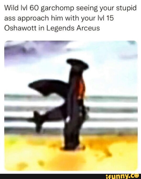 Garchomp memes. Best Collection of funny Garchomp pictures on iFunny