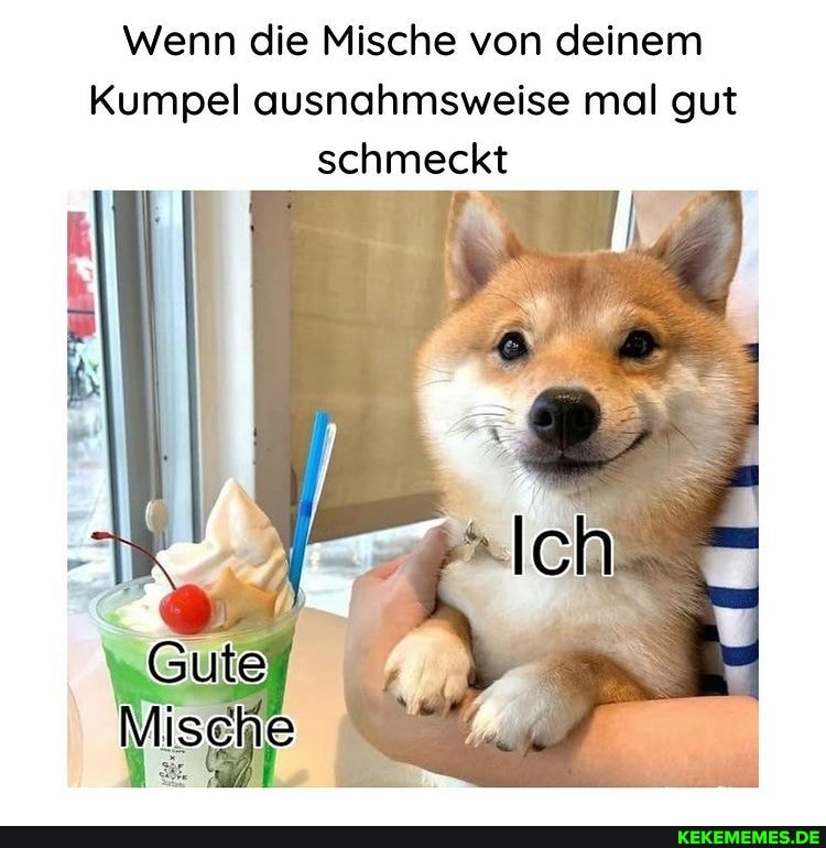 Die beliebtesten Tiere Memes auf Keke
