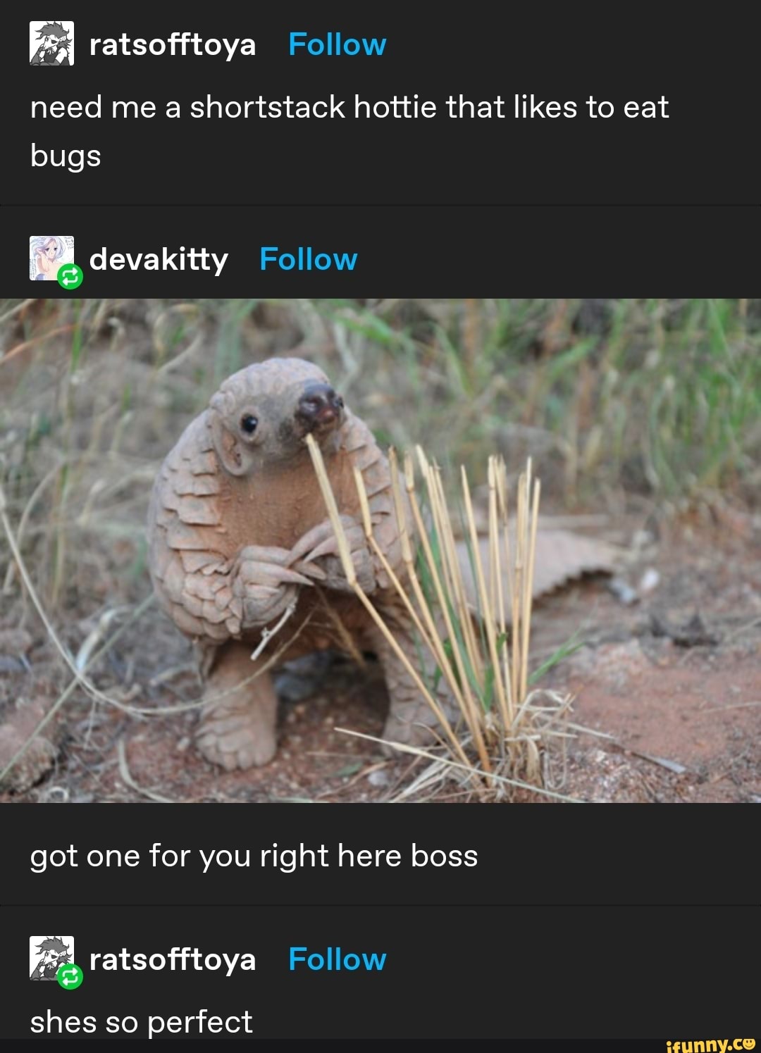 Devakitty memes. Best Collection of funny Devakitty pictures on iFunny