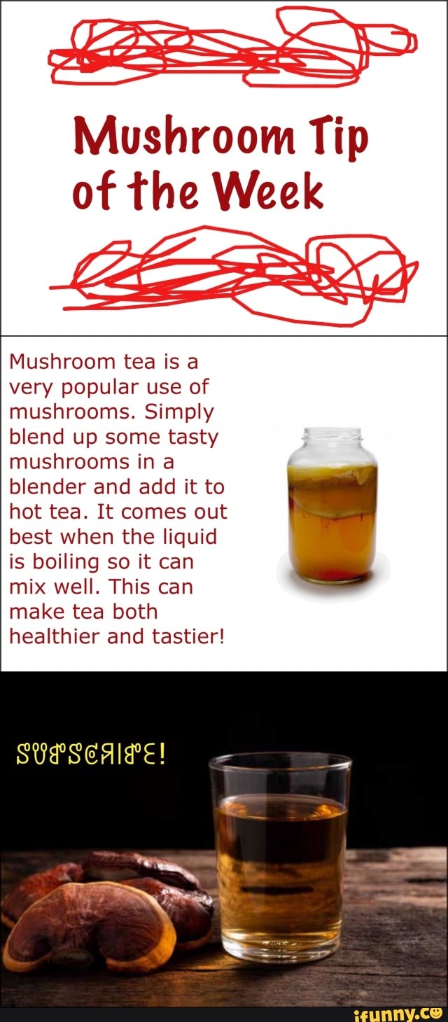 Mushroomtipoftheweek memes. Best Collection of funny ...