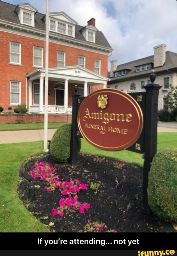 Amigone memes. Best Collection of funny Amigone pictures on iFunny