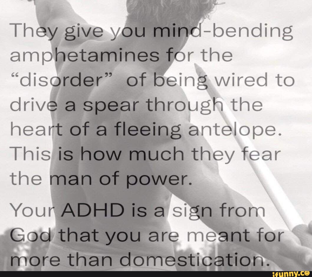 Antelope memes. Best Collection of funny Antelope pictures on iFunny