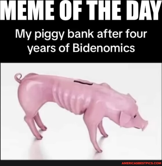 Animals memes memes. The best memes on America’s best pics and videos