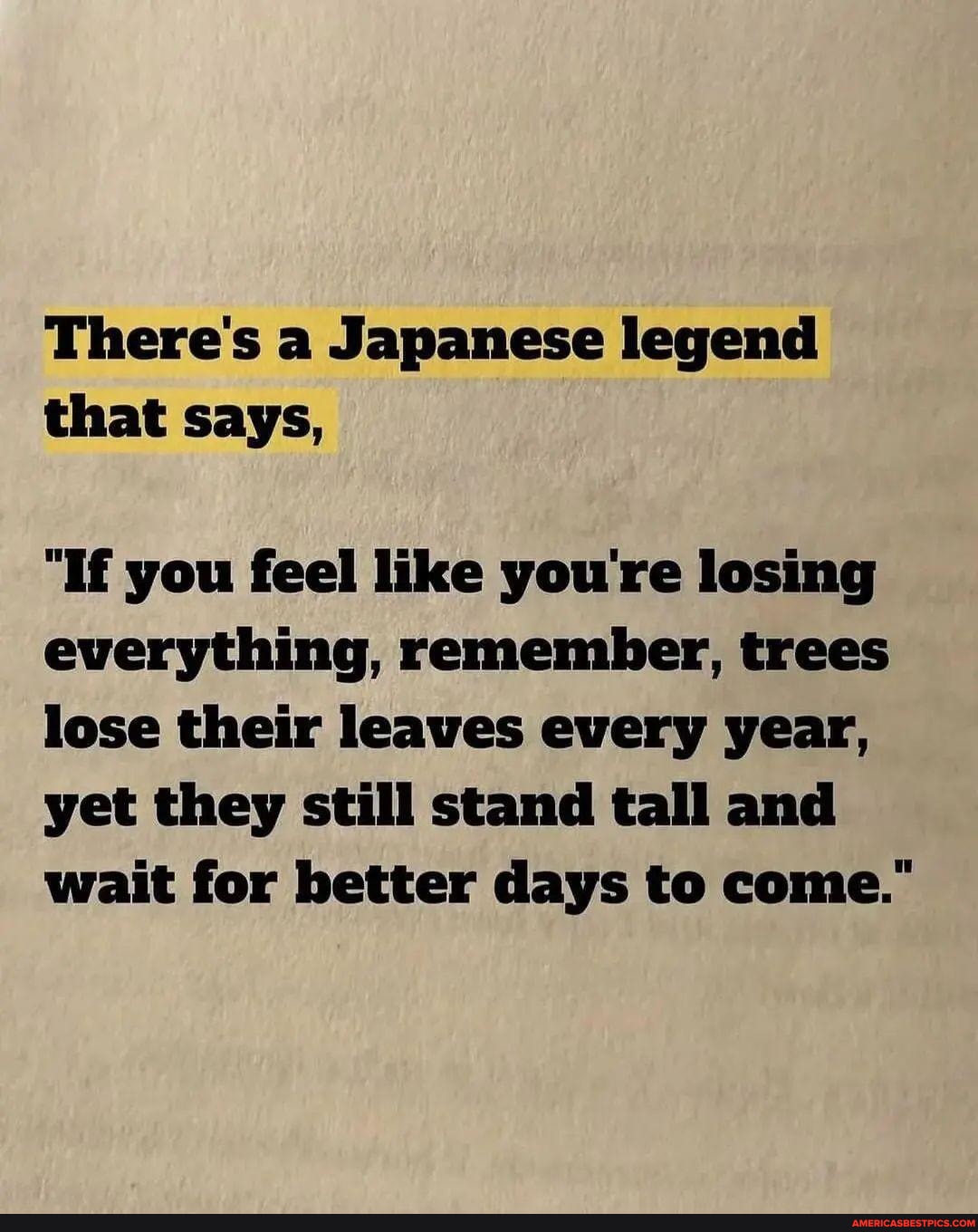 If you feel like you're losing everything, remember that trees lose ...