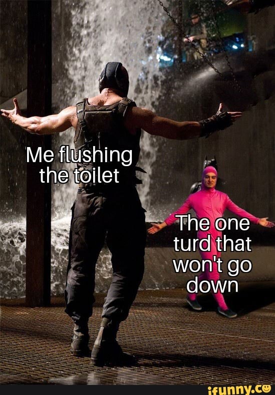 Me flushing the toilet The one turd that won't go down - iFunny