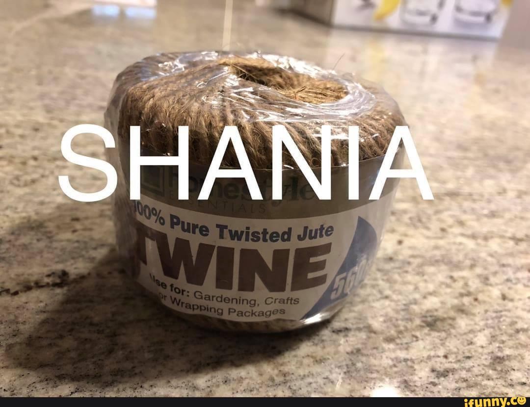 Shania_twain memes. Best Collection of funny Shania_twain pictures on ...