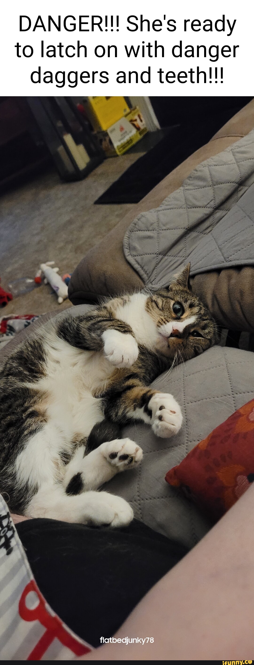 DANGER!!! She's ready to latch on with danger daggers and teeth ...