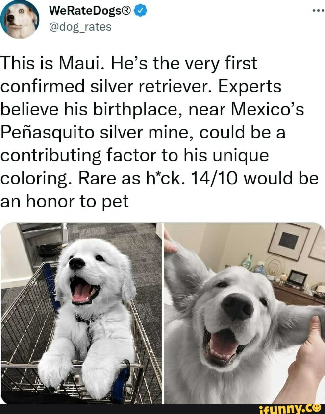 Confirmed memes. Best Collection of funny Confirmed pictures on iFunny