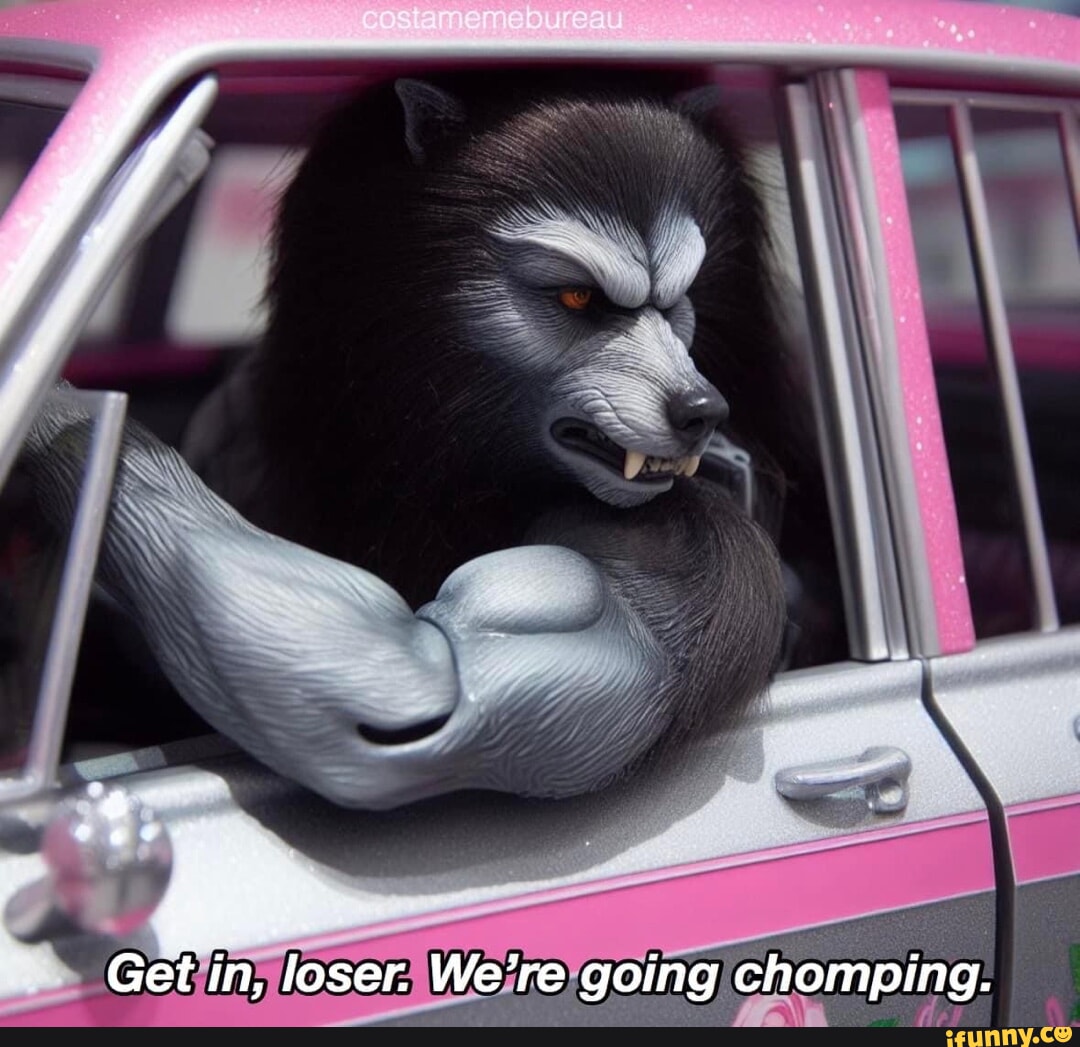 Chomping memes. Best Collection of funny Chomping pictures on iFunny