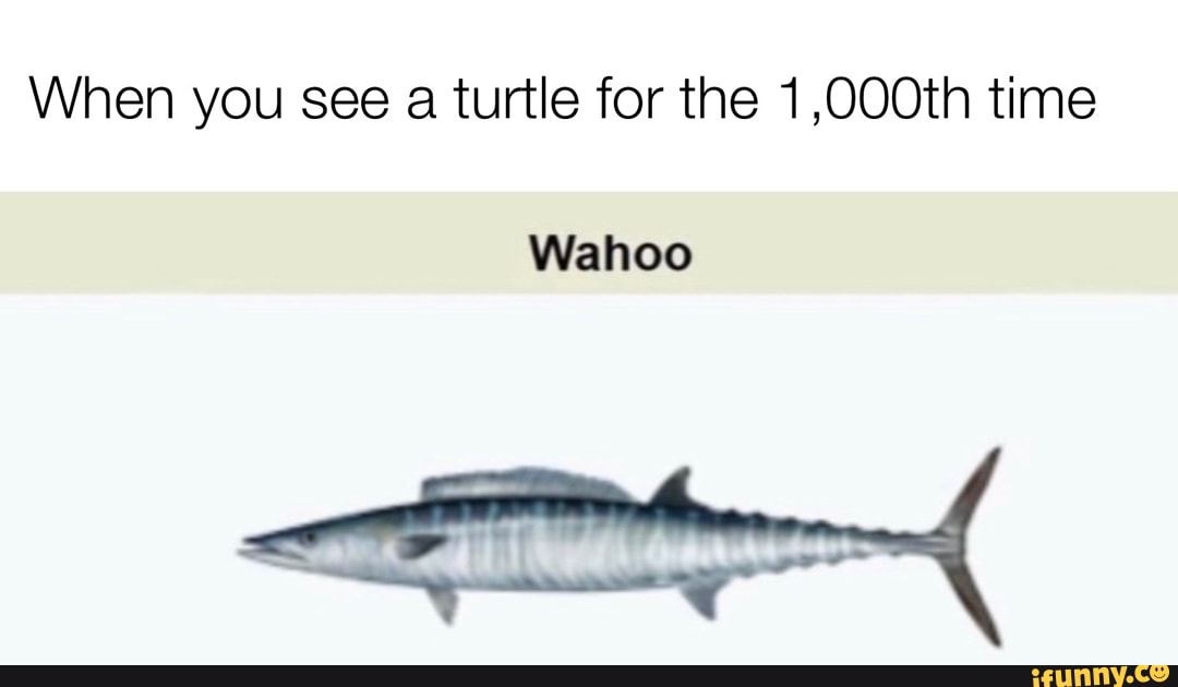 Wahoo memes. Best Collection of funny Wahoo pictures on iFunny